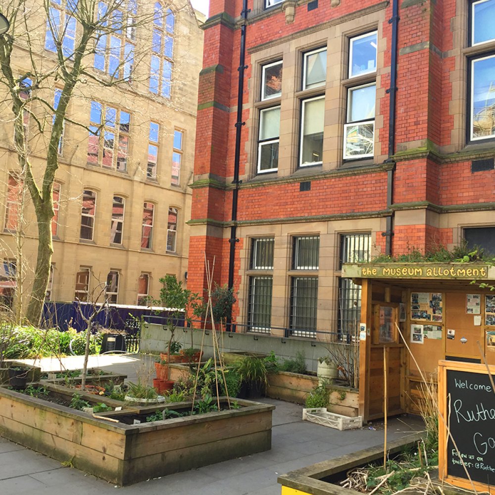 The Courtyard (Manchester Museum)